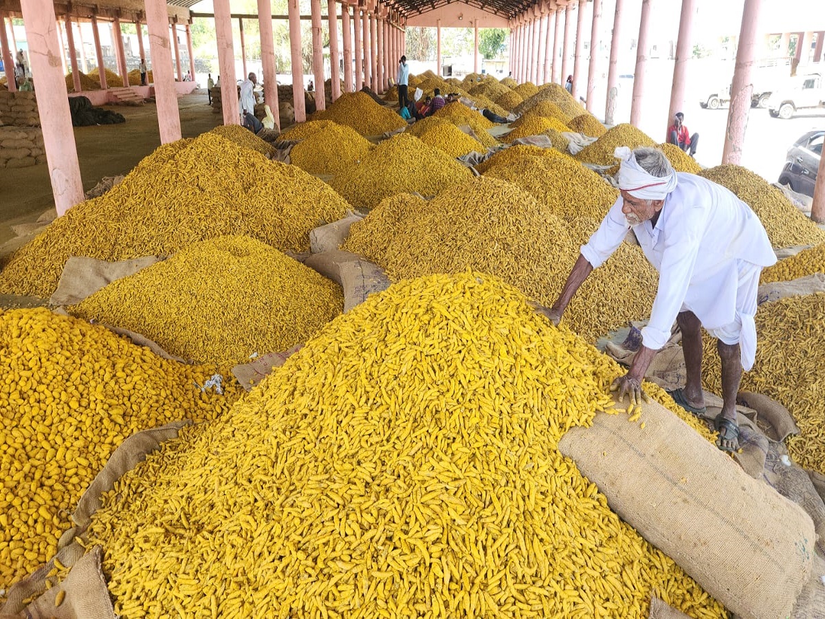 हळदीच्या दरात असा दुजाभाव का? वसमत मोंढा अन् नांदेडच्या भावात ७ ...