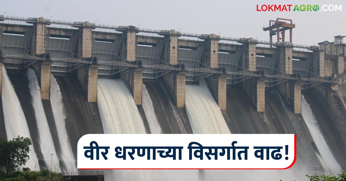 पावसाची संततधार सुरूच असल्याने वीर धरणातून सोडण्यात येणाऱ्या विसर्गात ...