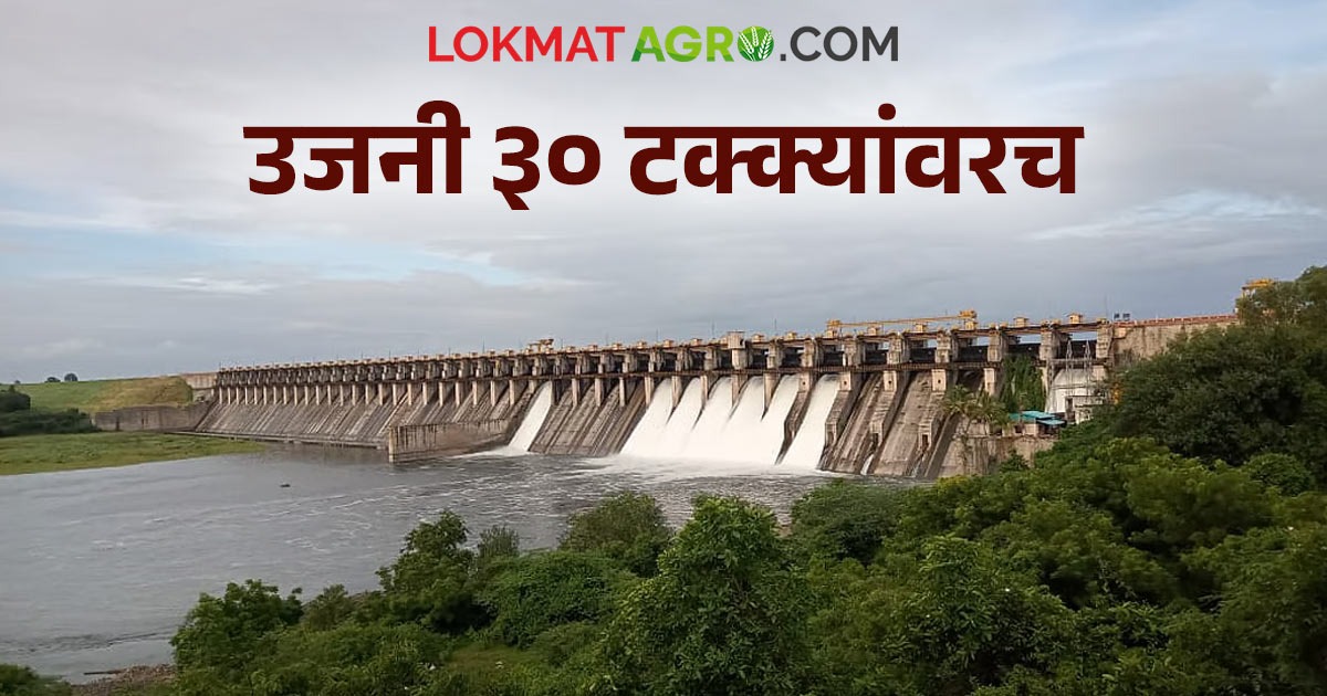 Ujani Dam Water Level : राज्यातील सर्वात जास्त पाणीसाठा असणाऱ्या उजनी ...