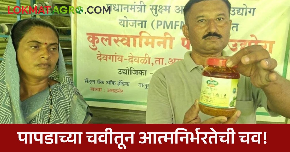 Farmer Success Story : पापड उद्योगातून महिन्याला 70 हजार रुपयांची कमाई ...