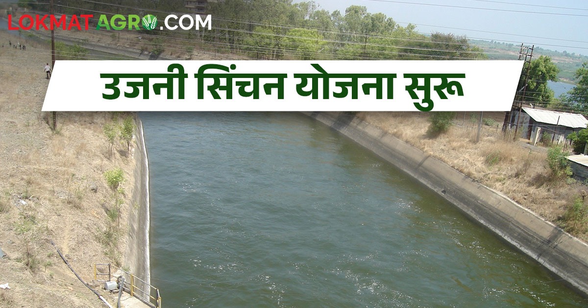 उजनी उपसा सिंचन योजनेचा पहिला टप्पा सुरू | First phase of Ujani dam ...