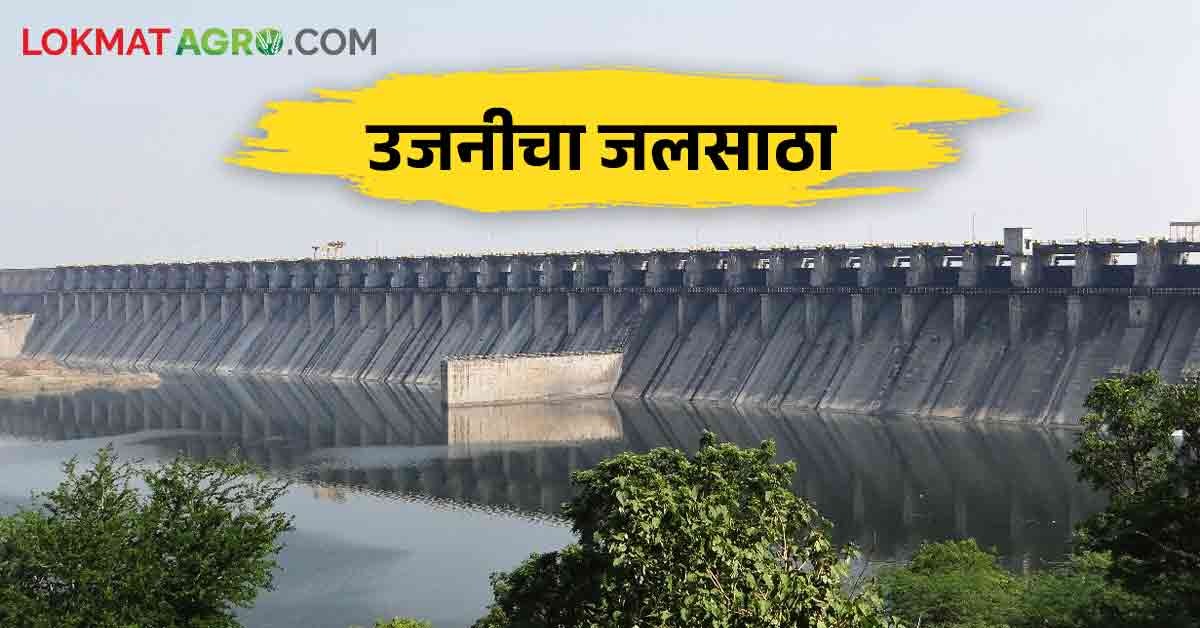 Ujani Dam: उजनी धरणात मागील महिन्यात आलं इतकं पाणी; जाणून घ्या आजची ...