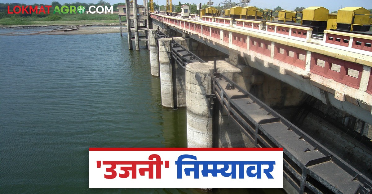 Ujani Dam Water Level : उजनीतून ६ हजार क्युसेकने भीमा नदीत विसर्ग सुरू ...