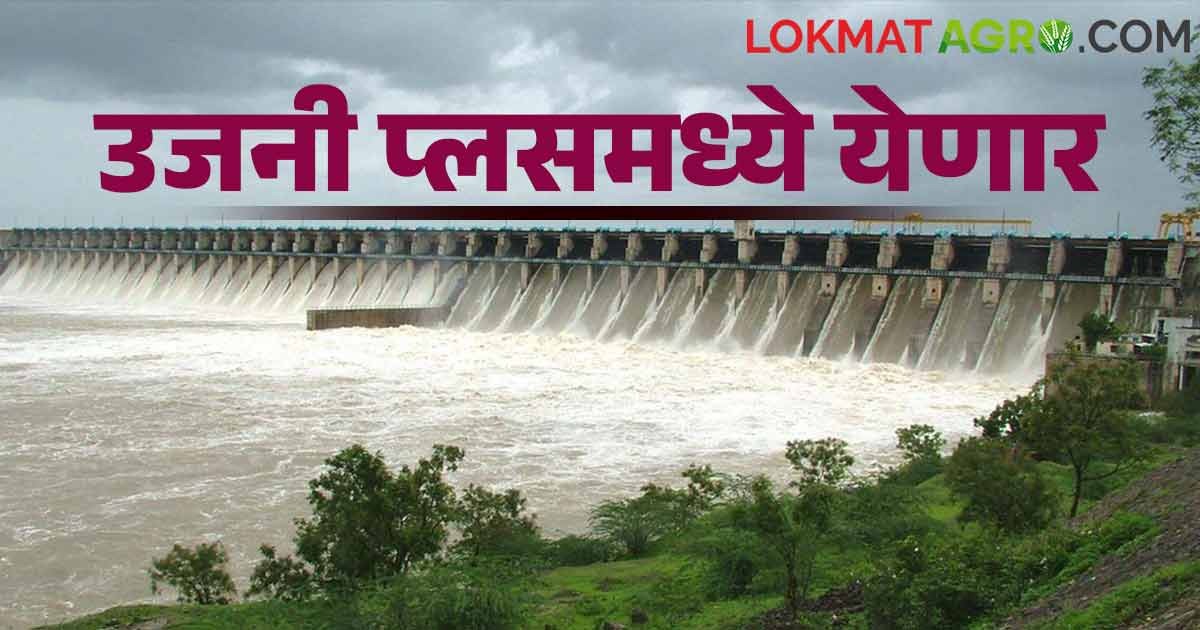 Ujani Dam: उजनी उपयुक्त पातळीत येण्यासाठी अजून किती टीएमसीची गरज ...