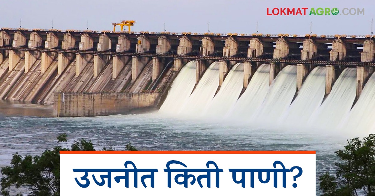Ujani Dam Water Level : मागील वर्षी मायनसमध्ये असणाऱ्या उजनी धरणात यंदा ...