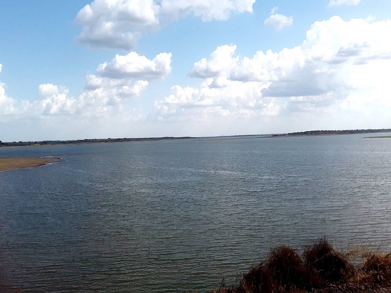 Ujani Dam | उजनी धरण परिसरात आढळली बाॅम्बसदृश वस्तू Pune Marathi News ...