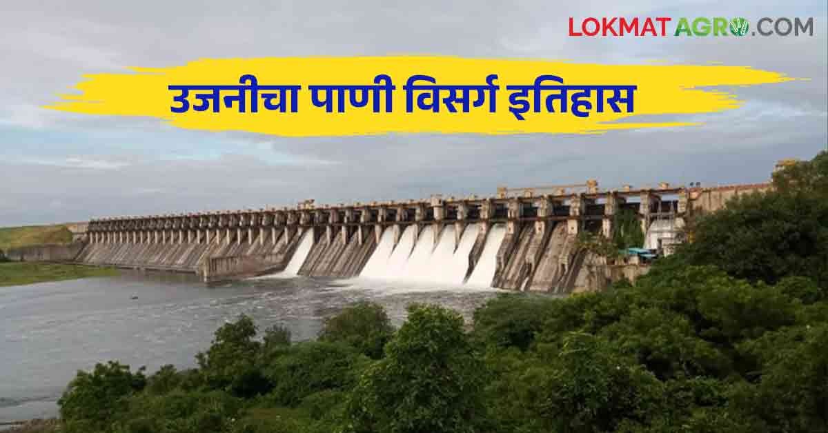 Ujani Dam Water Discharge : आतापर्यंत उजनीतून भीमा नदीत कितीवेळा झाला ...