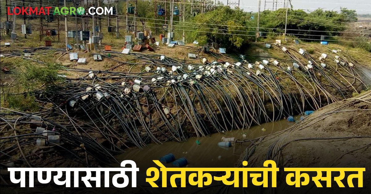 Ujani Dam Water : उजनी धरणाची पाणी पातळी खालावली; चारी खोदून केला जातोय ...