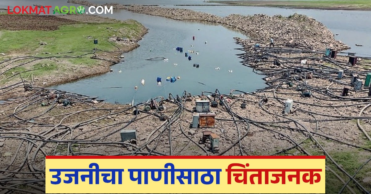 Ujani Dam : उजनी धरणाचा पाणीसाठा झपाट्याने होतोय कमी; उपयुक्त शिल्लक ...