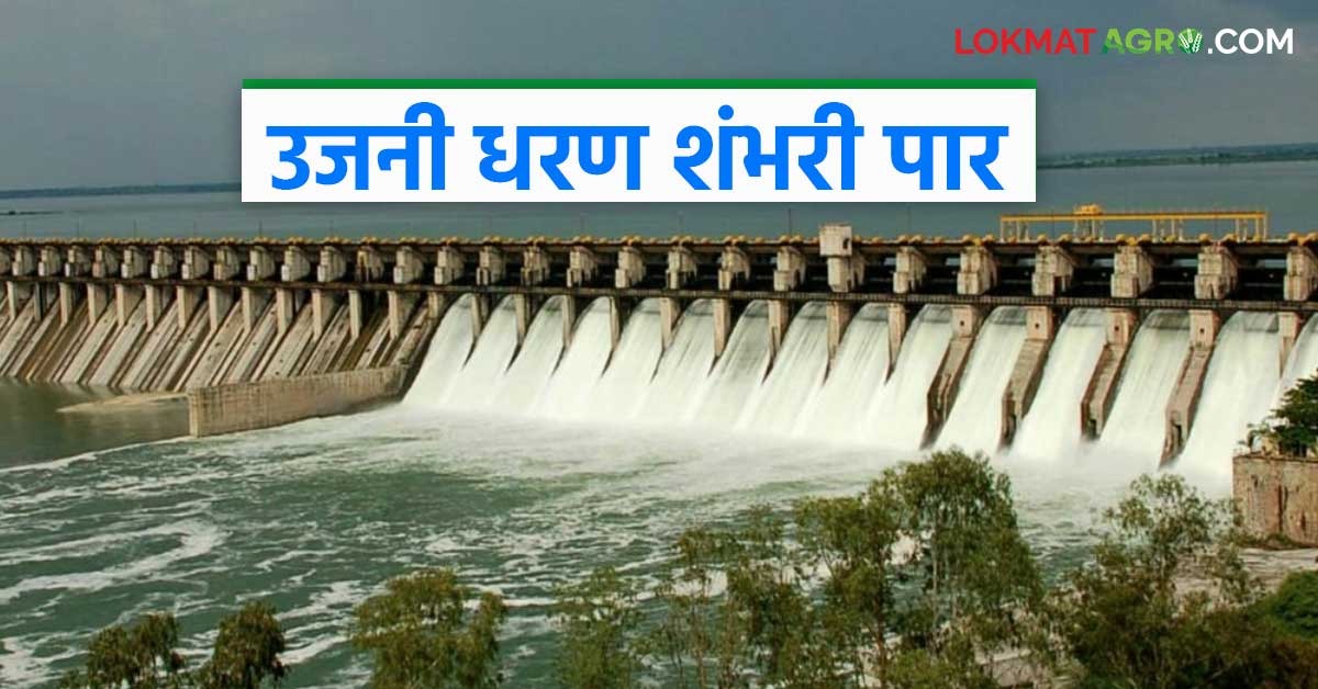 Uajni Dam : बघता बघता उजनी धरणाने शंभरी गाठली; भीमा नदीतील विसर्ग ...