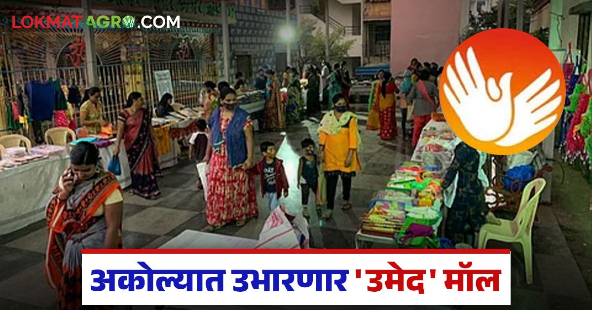 latest news UMED Scheme: New strength for women's self-help groups ...
