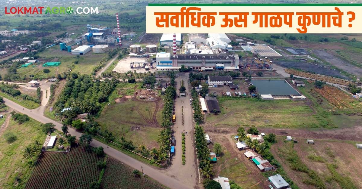 Us Galap : सर्वाधिक उसाचे गाळप करत साखर उत्पादनात अग्रेसर ठरला हा ...