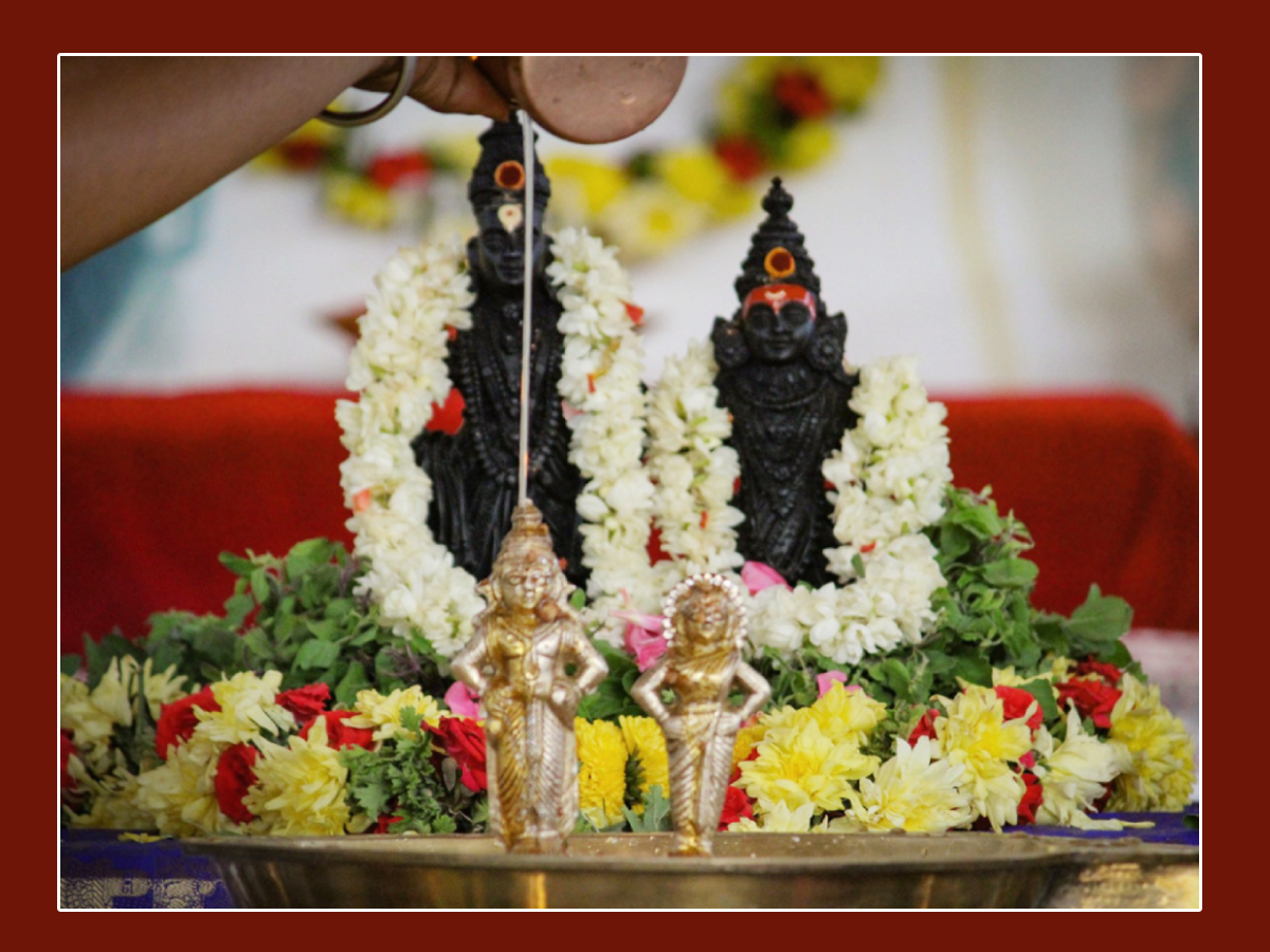 Utpatti Ekadashi 2025: उत्पत्ती एकादशीला 'या' ६ उपायांनी (6 Remedies ...