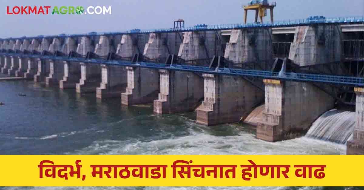 Wainganga Nalganga Linking Project : वैनगंगा-नळगंगा नदीजोड प्रकल्पास ...