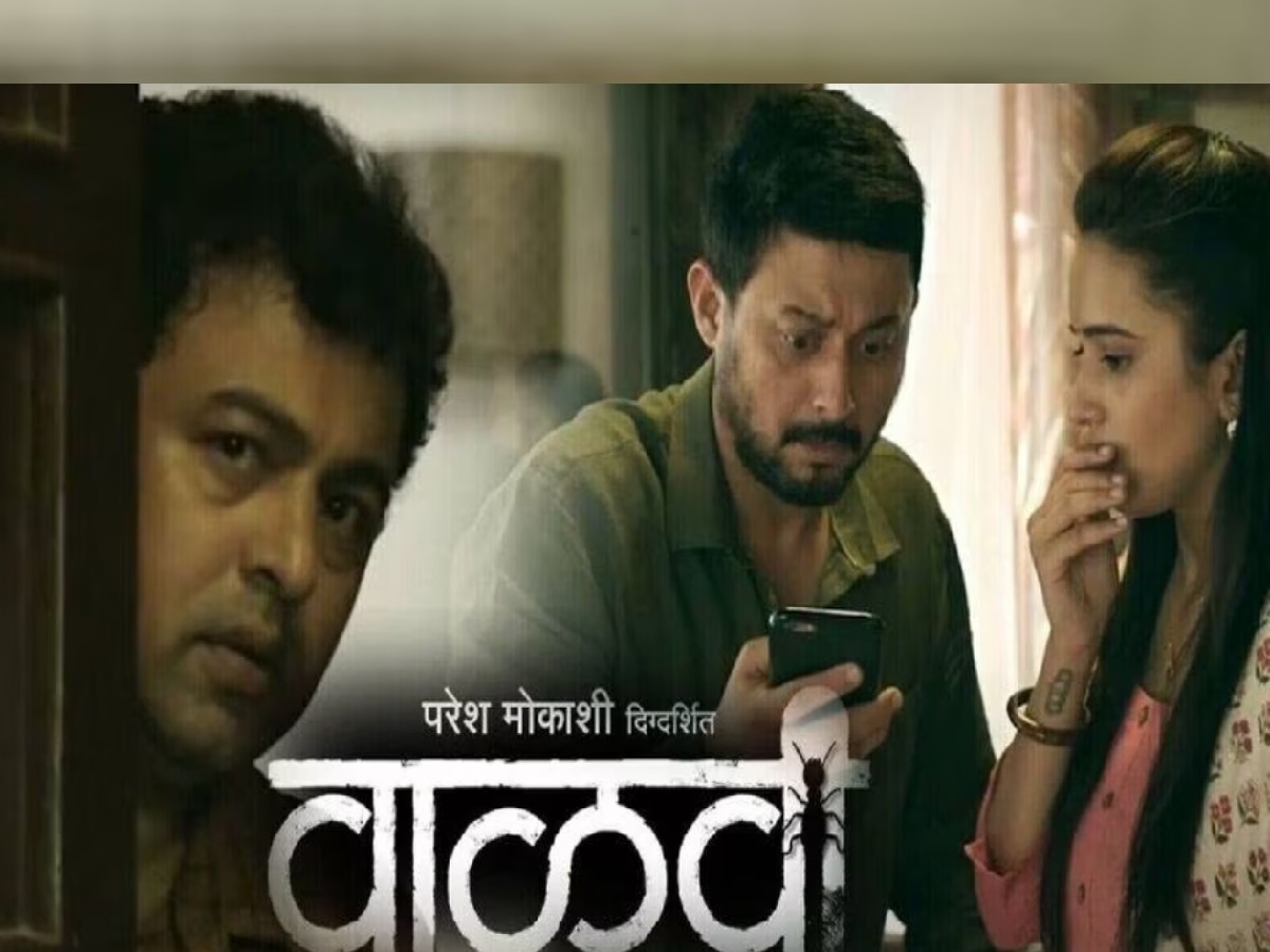 Valvi 2 : 'वाळवी'चा अनपेक्षित शेवट विसरला नसालच, आता 'वाळवी २' साठीही ...