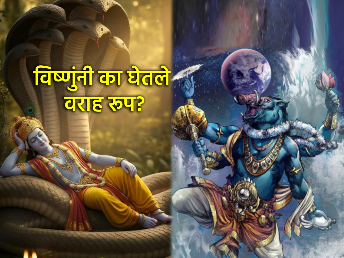 वराह म्हणजे डुक्कर नाही, तर ते यज्ञरूप आहे; वराह जयंतीनिमित्त जाणून ...
