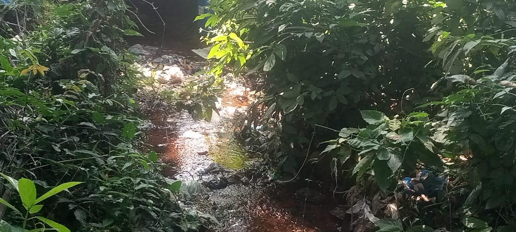 माटवे - दाबोळीतील नाल्यांतूनही वाहते पेट्रोल, ग्रामस्थ धास्तावले Goa ...