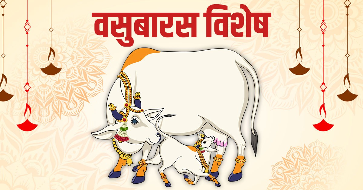 vasubaras वसुबारस; गोधन पुजा आणि गोविज्ञान | vasubaras Godhan Puja and ...