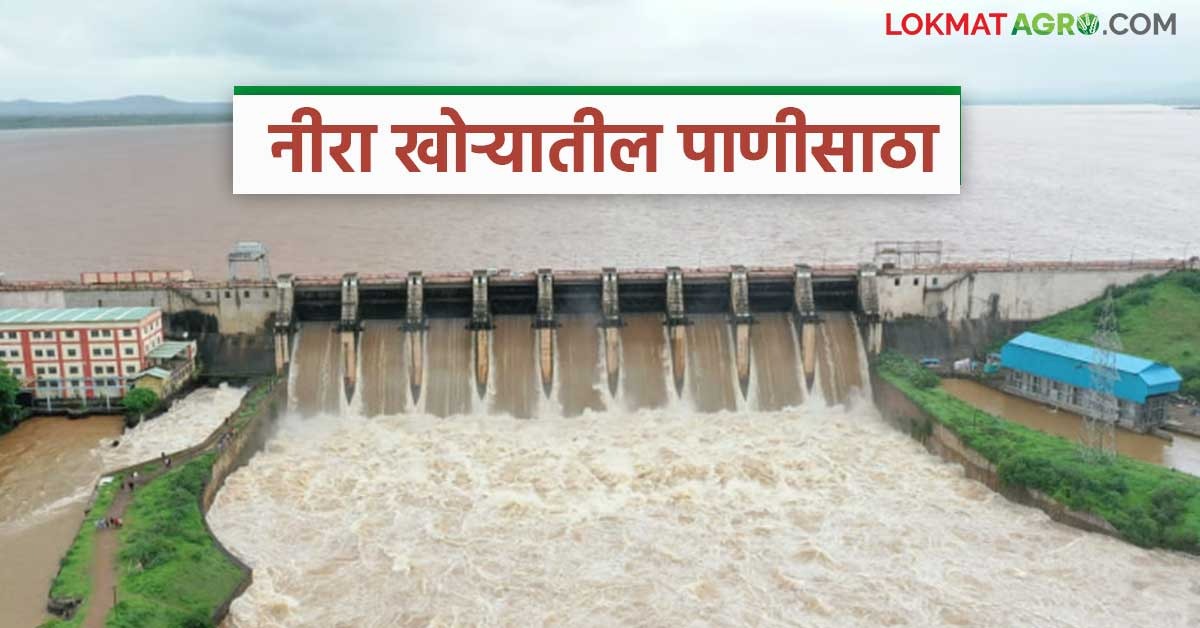 नीरा खोऱ्यातील चारही धरणांत पाण्याची मोठी आवक; वीर धरण लवकरच ओव्हरफ्लो ...