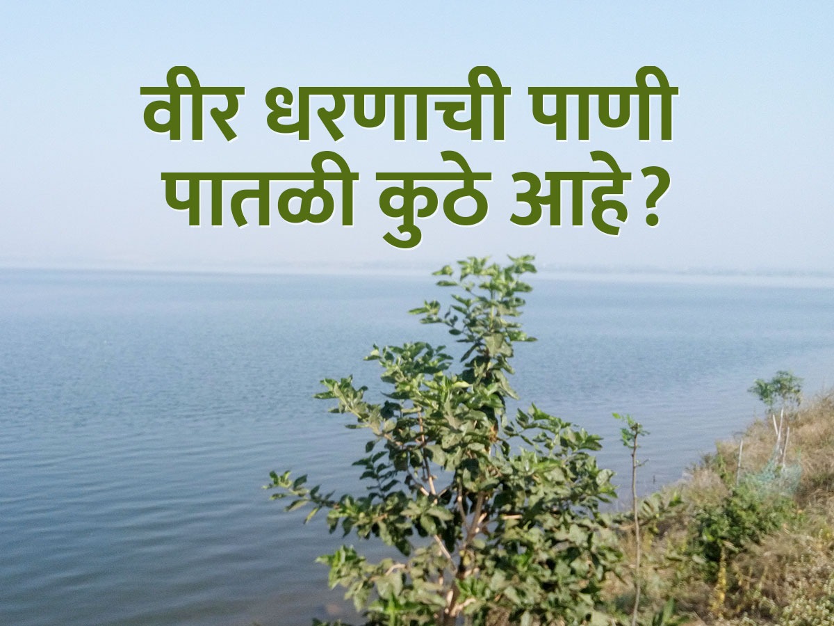 जाणून घ्या, वीर धरणाच्या पाणीसाठ्याची परिस्थिती | Know the water ...