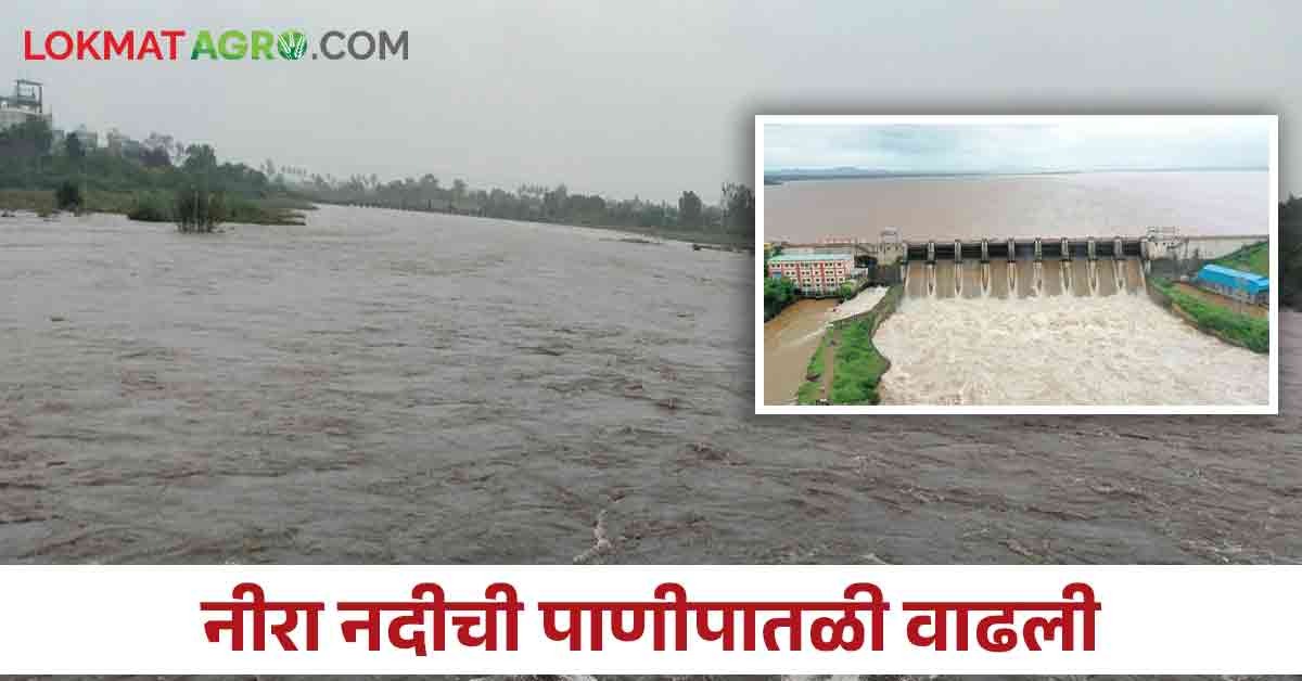 Veer Dam Water : वीर धरणाच्या नऊ सांडव्यांतून विक्रमी ७१ हजार ३४९ ...