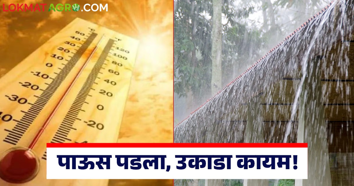 latest news vidarbha heat wave brahmapuri 45-5 degree temperature rain ...