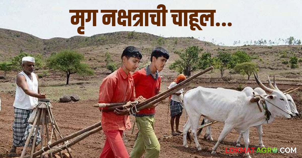 latest news Vidarbha Monsoon Update : Preparations for sowing in the ...
