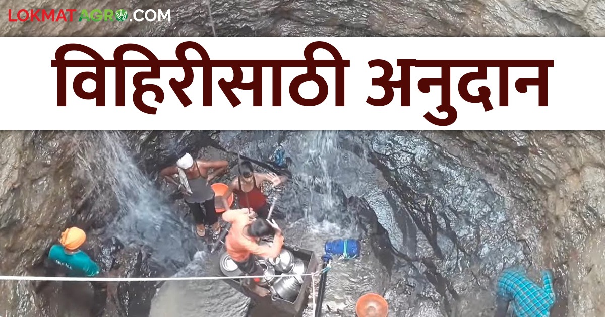 Vihir Anudan Yojana : उन्हाळा आलाय.. जुन्या व नव्या विहिरीचे काम करताय ...