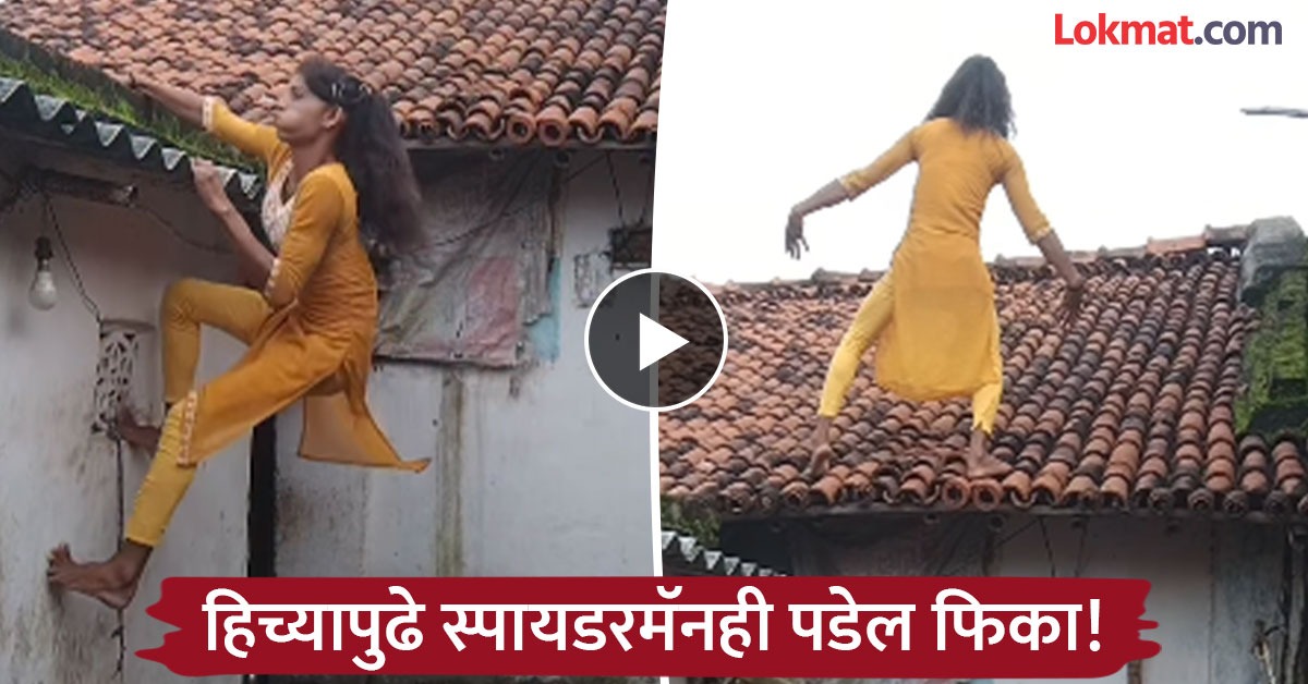Viral Video : अरे बापरे हे काय बघितलं! महिलेने कॅमेरा सुरू केला अन् पुढे जे काही घडलं ...