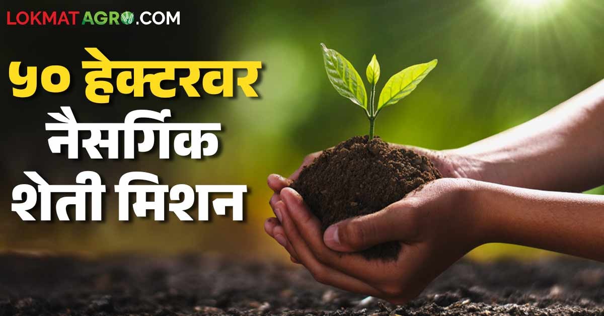 Jaivik Sheti Mission : 50 हेक्टर क्षेत्रावर नैसर्गिक शेतीला चालना, कृषी ...