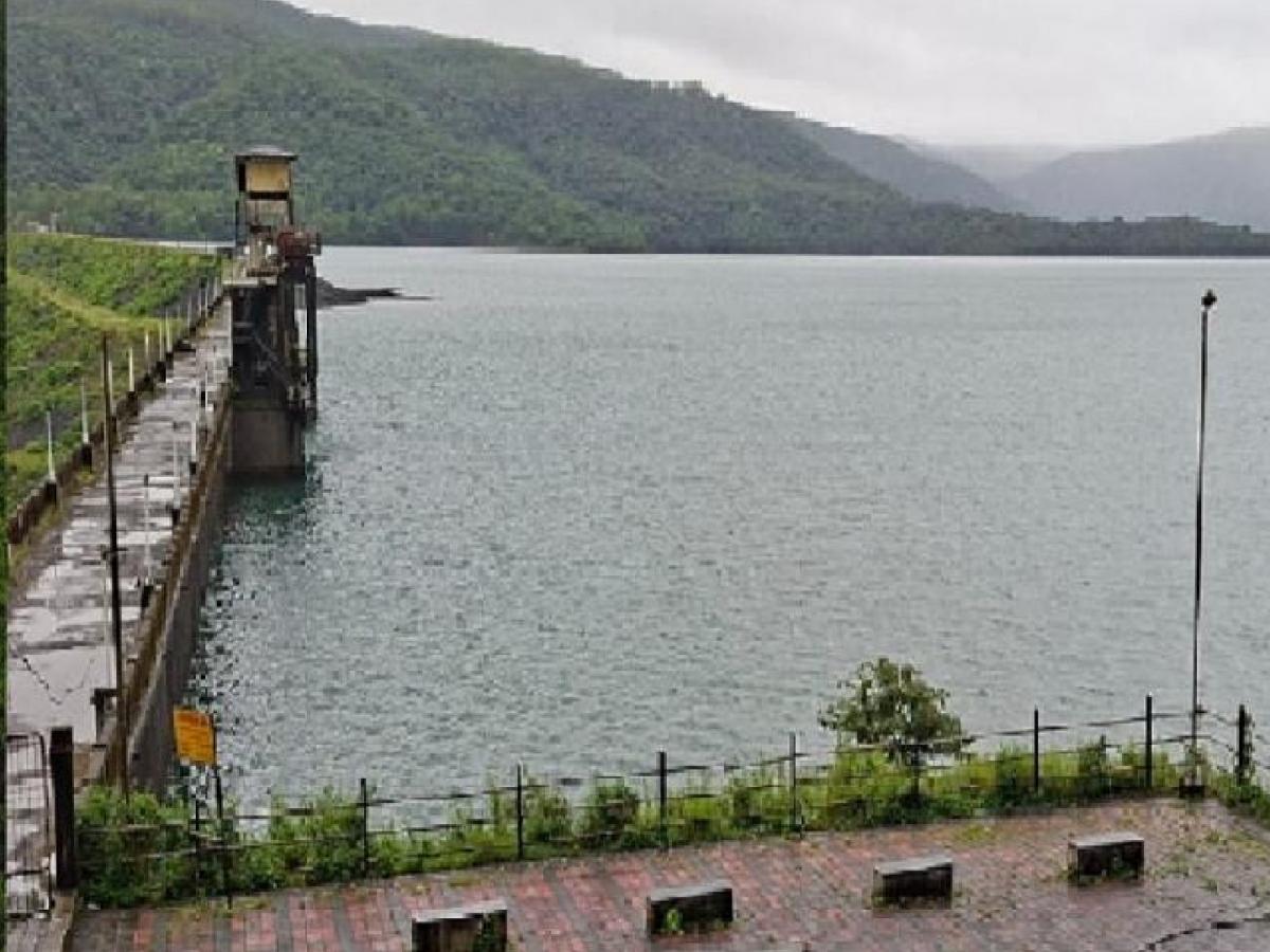 Sangli: वारणा धरणातील पाणीसाठ्यात १० टीएमसी घट, पाझर तलाव पडले कोरडे ...
