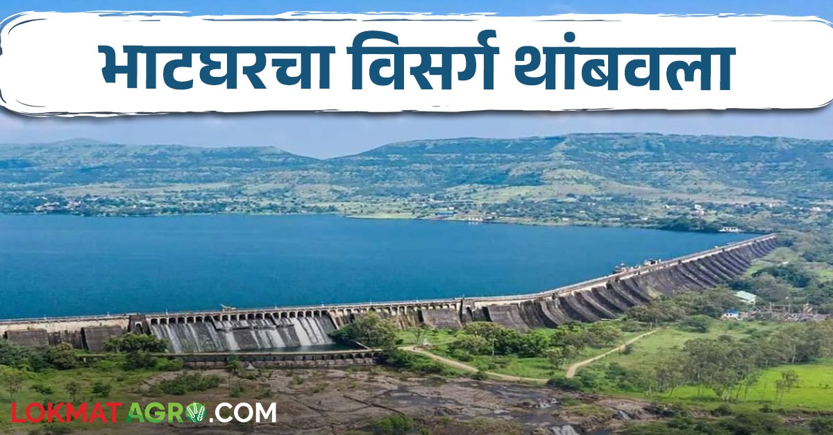 Bhatghar Dam भाटघर धरणामधील पाण्याचा विसर्ग थांबवला | Stopped release ...