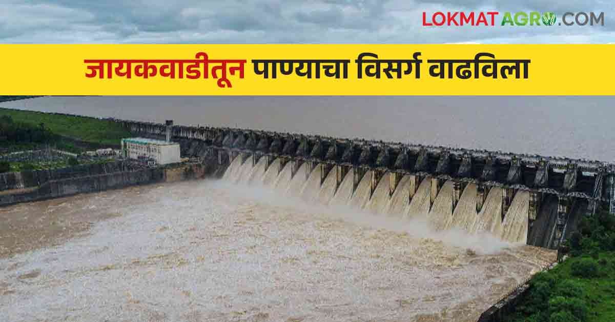 Jayakwadi Dam Water Release Update : जायकवाडी भरले; १२ दरवाजे उघडून ६ ...