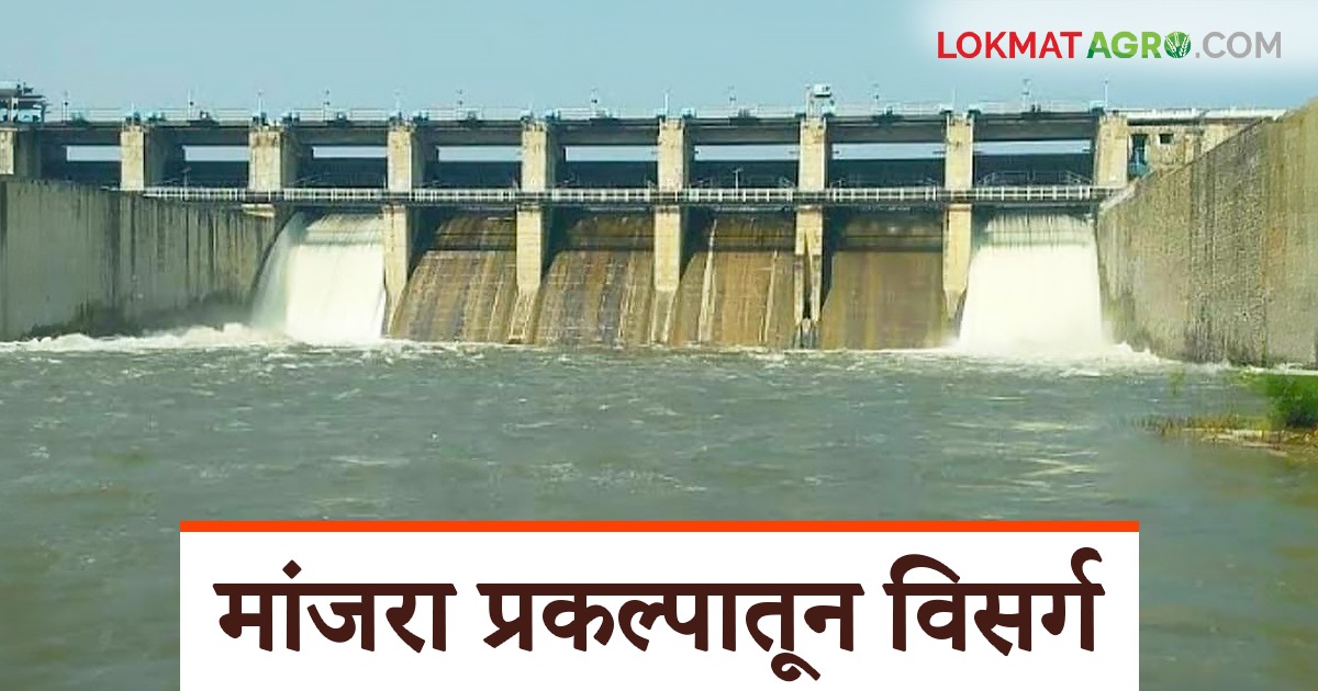 Manjara Dam : मांजरा प्रकल्पाच्या डाव्या कालव्यातून पाण्याचा विसर्ग ...