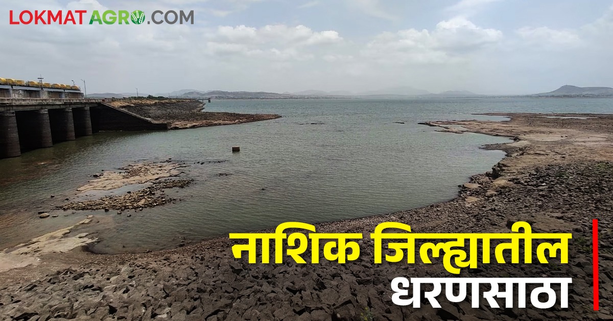 नाशिक जिल्ह्यातील कुठल्या धरणात किती पाणी? जाणून घ्या सविस्तर | latest ...