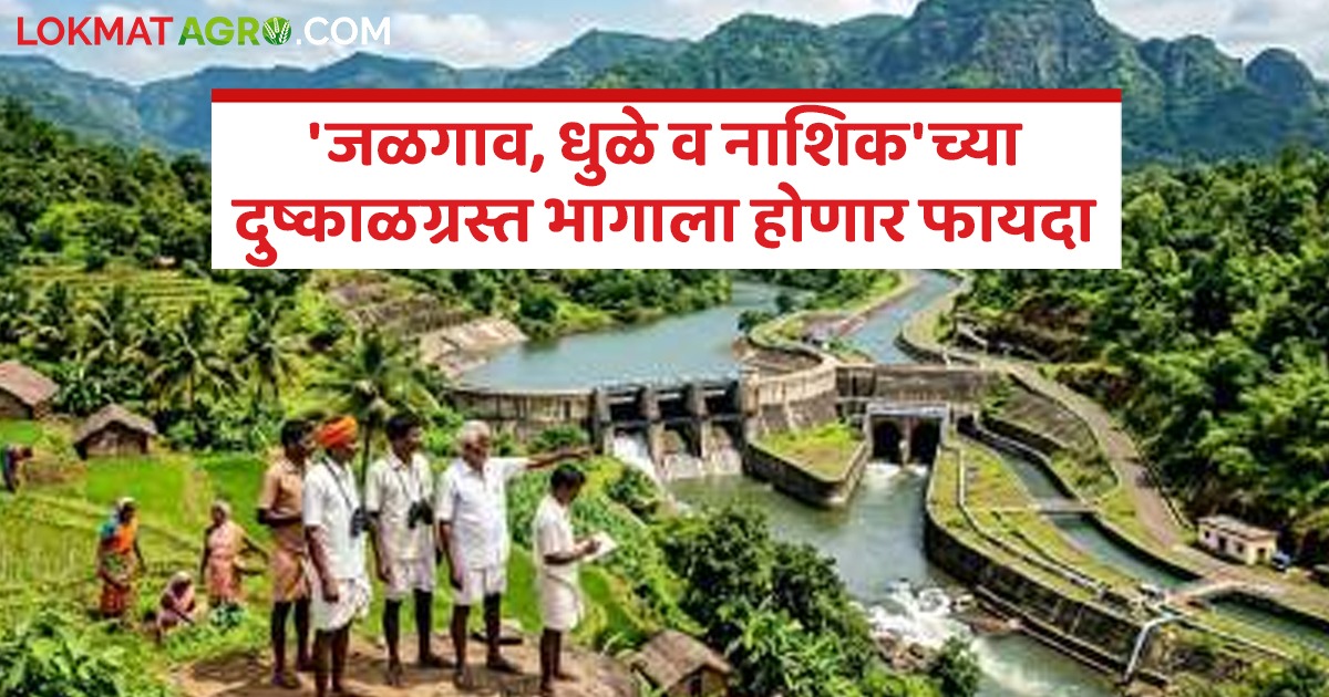 नारपार-गिरणा योजनेमुळे शेतकऱ्यांचा पाणीप्रश्न कायमचा मिटणार ...