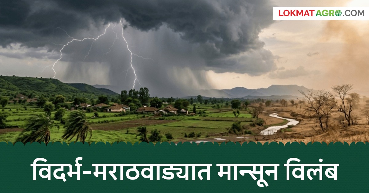 latest news Monsoon Update: monsoon delay vidarbha marathwada rain ...