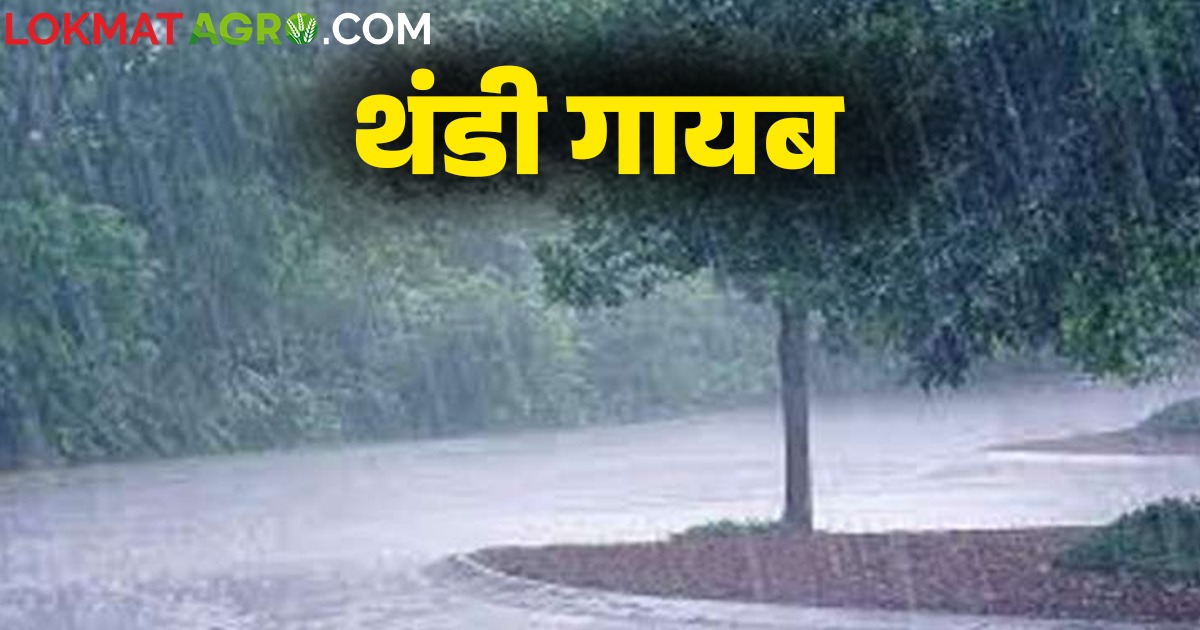 Today's weather forecast read in details