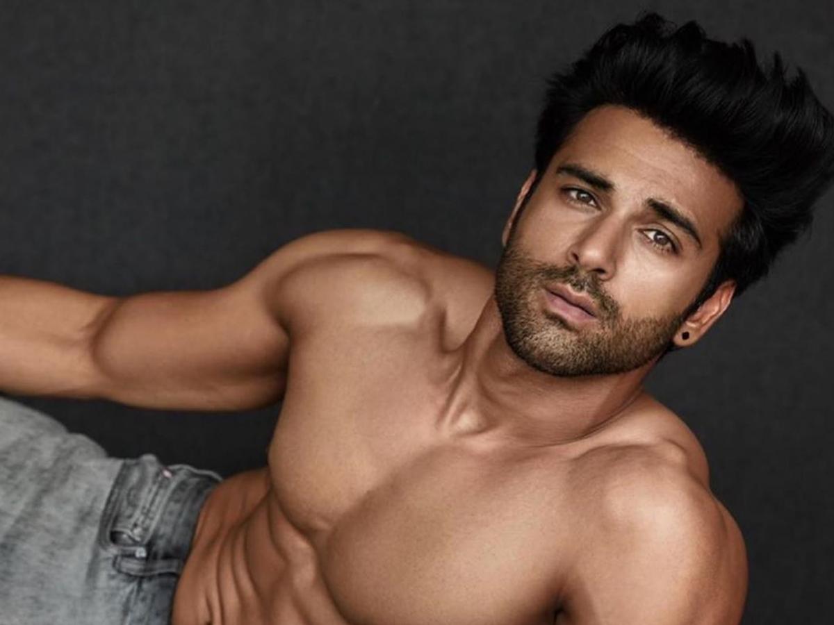 या अभिनेत्रीचे आभार मानले पुलकितने, सलमान खानच्या बहिणीला घटस्फोट ...