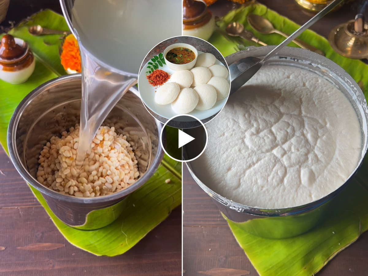 मऊ, जाळीदार इडल्यांसाठी पीठ दळताना ही पद्धत वापरा; इडल्या होतात ...