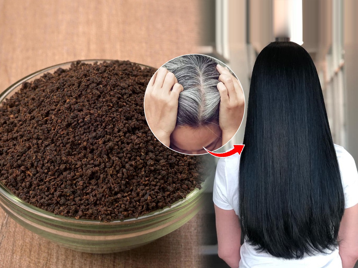 फक्त १० रूपयांची चहा पावडर वापरा, पांढरे केस होतील काळेभोर, असा करा ...