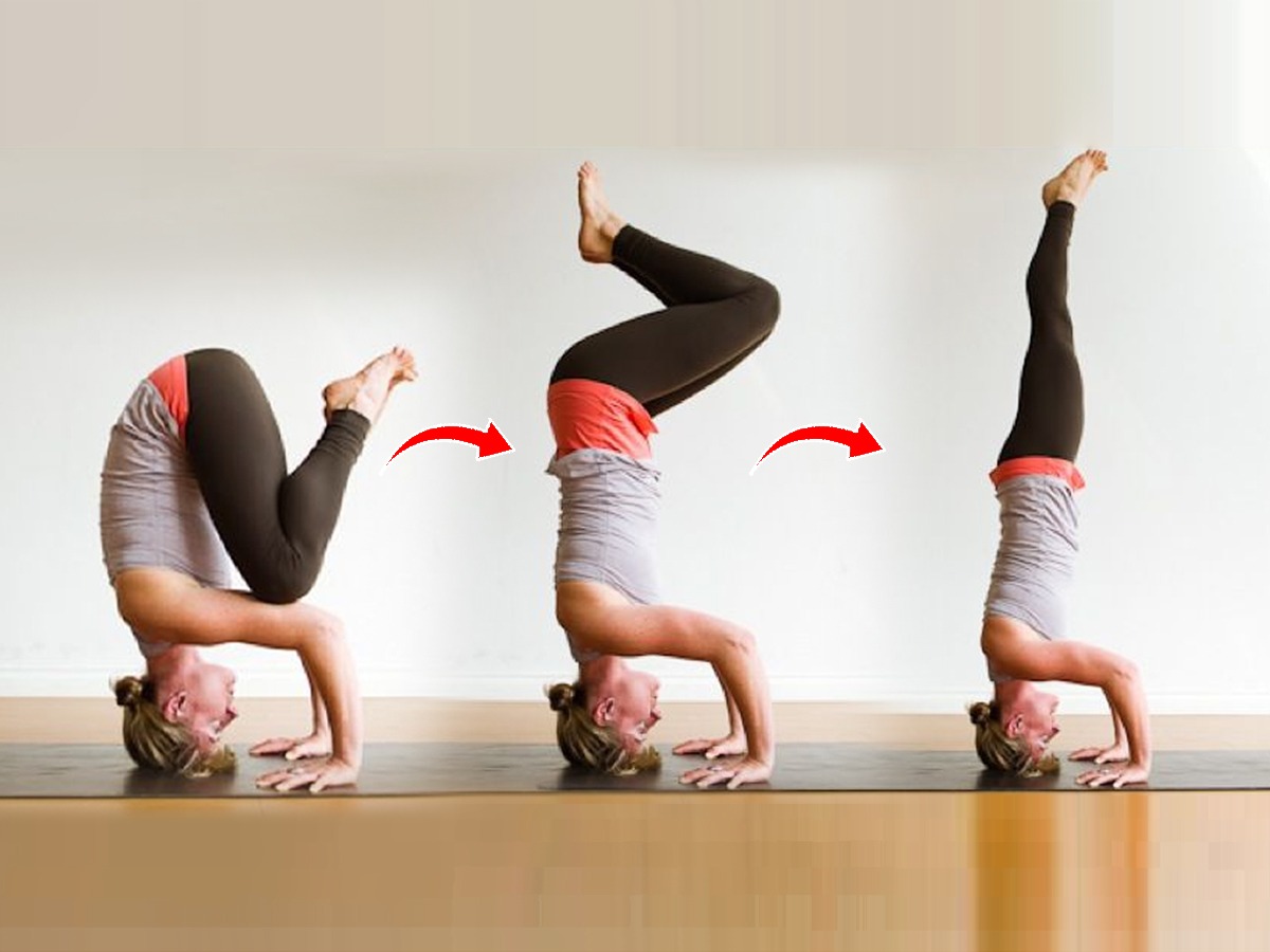 शीर्षासन करायला शिकायचंय? न घाबरता सावकाश फक्त ८ स्टेप्स करा, शीर्षासन ...