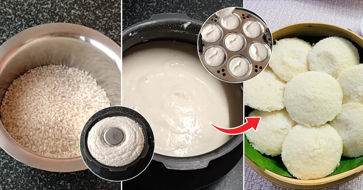 इडलीचं पीठ आंबवण्याची योग्य पद्धत कोणती? इडल्या उत्कृष्ट होण्यासाठी ...