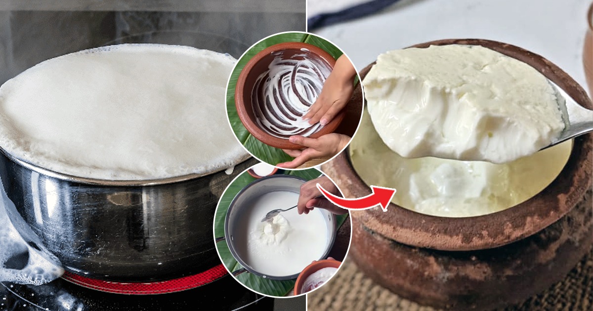 दही नीट लागत नाही, आंबट होतं? १ सोपी ट्रिक; विकतसारखं घट्ट दही आता ...