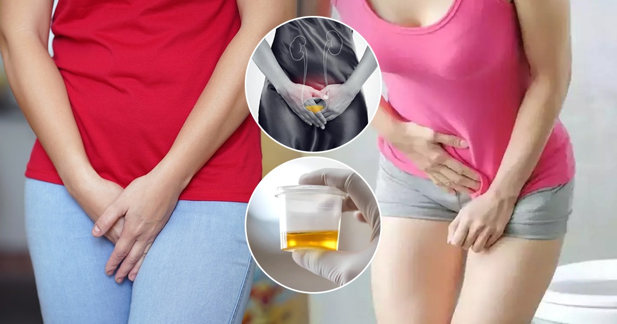 लघवी रोखून धरण्याची सवय आहे? ४ धोके, युरिन इन्फेक्शन ते किडनीचे आजार होण्याची शक्यता - Marathi ...