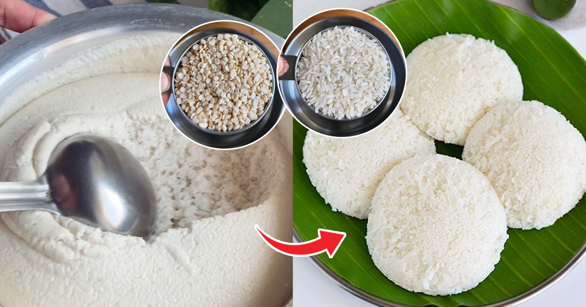 इडलीचं पीठ वाटताना हा पदार्थ घाला; हलक्या, पांढऱ्याशुभ्र इडल्या होतील ...
