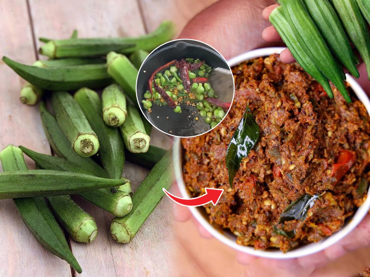 भेंडी चिरताना देठ फेकून देता? करा एक चटपटीत झकास पदार्थ, करायलाही सोपा ...