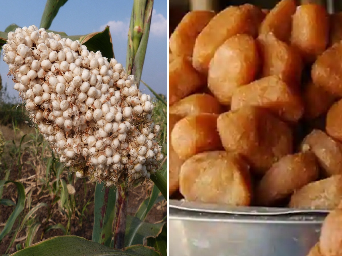 लय भारी! मराठवाड्यातील दगडी ज्वारी, कुंथलगिरी पेढ्यासह एकूण आठ वस्तूंना ...