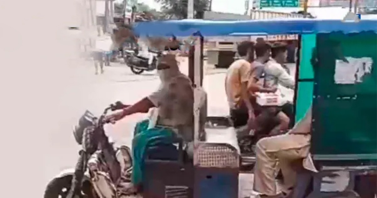 कडक सॅल्यूट! पतीचं आजारपण, 60 व्या वर्षी 'ती' चालवतेय ई-रिक्षा ...