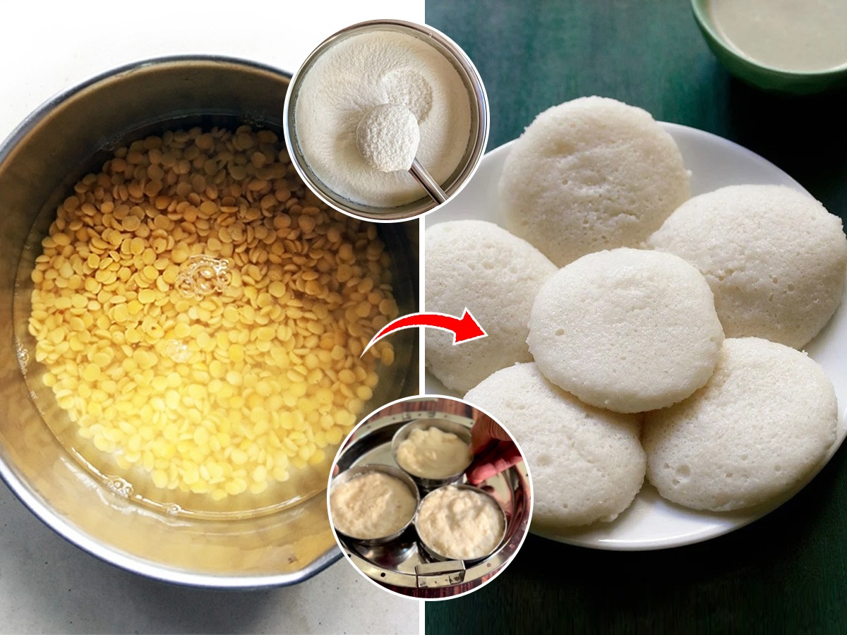 तांदूळ नको नी सोडा नको करा २ डाळींची पौष्टिक इडली नाश्ता स्पेशल प्रोटीन इडली सोपी रेसिपी